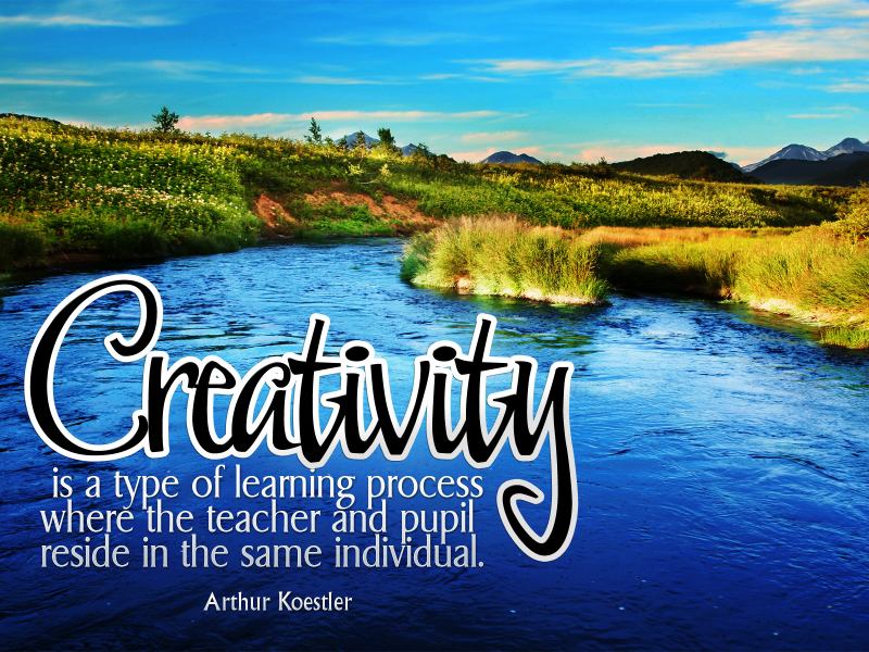 I diligently learn something new each day